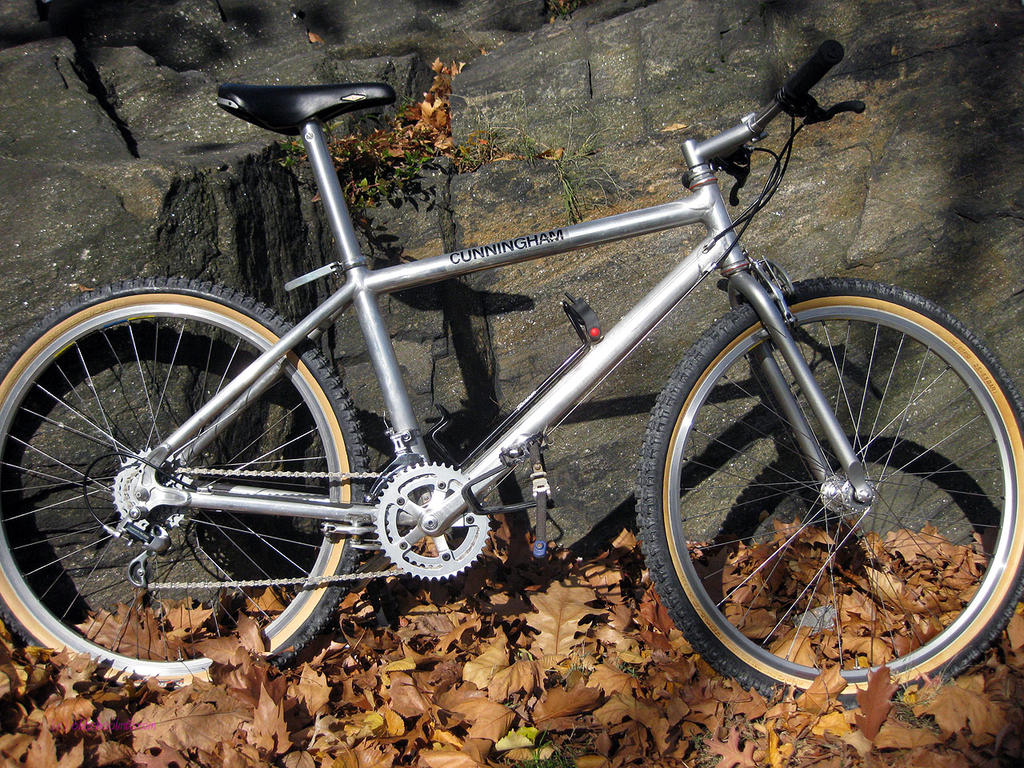 Alternative Bikes of the Year 2011 | Retrobike